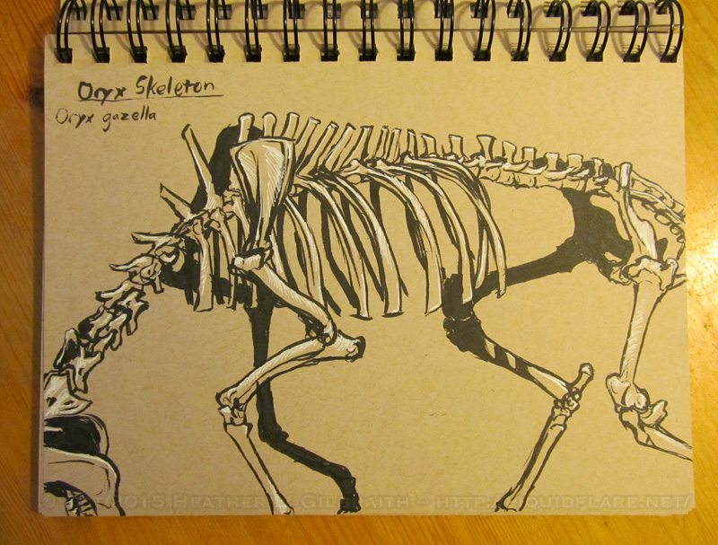 Sketchbook – Archive – Heather L. Gilbraith